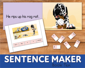 make sentences with the sentence maker: book 10 (mission spelling zero series)