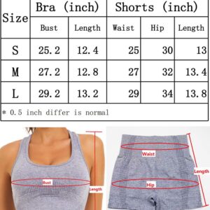 Toplook Women Seamless Yoga Workout Set 2 Piece Outfits Gym Shorts Sports Bra (Wine, Medium)