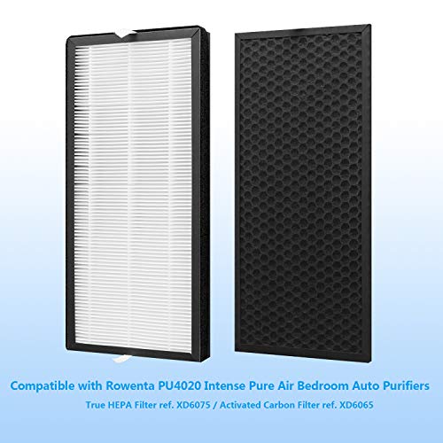 XD6065 Activated Carbon & XD6075 True HEPA Replacement Filter, Compatible with Rowenta PU4020 Intense Pure Air Purifiers, 1 Carbon Odor Eliminator & 1 True HEPA Allergen Remover