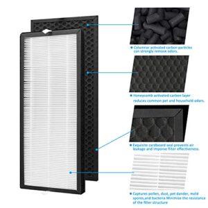 XD6065 Activated Carbon & XD6075 True HEPA Replacement Filter, Compatible with Rowenta PU4020 Intense Pure Air Purifiers, 1 Carbon Odor Eliminator & 1 True HEPA Allergen Remover