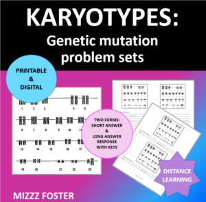 genetic disorders / mutations: karyotype problem sets worksheets