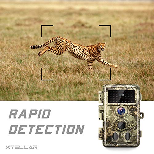 Xtellar Trail Camera 24MP 1080P IP66 Waterproof with Clear Night Vision and 3 Passive Infrared Motion Sensors for Hunting Scouting Range Control and Wildlife Researching (Camo Green)