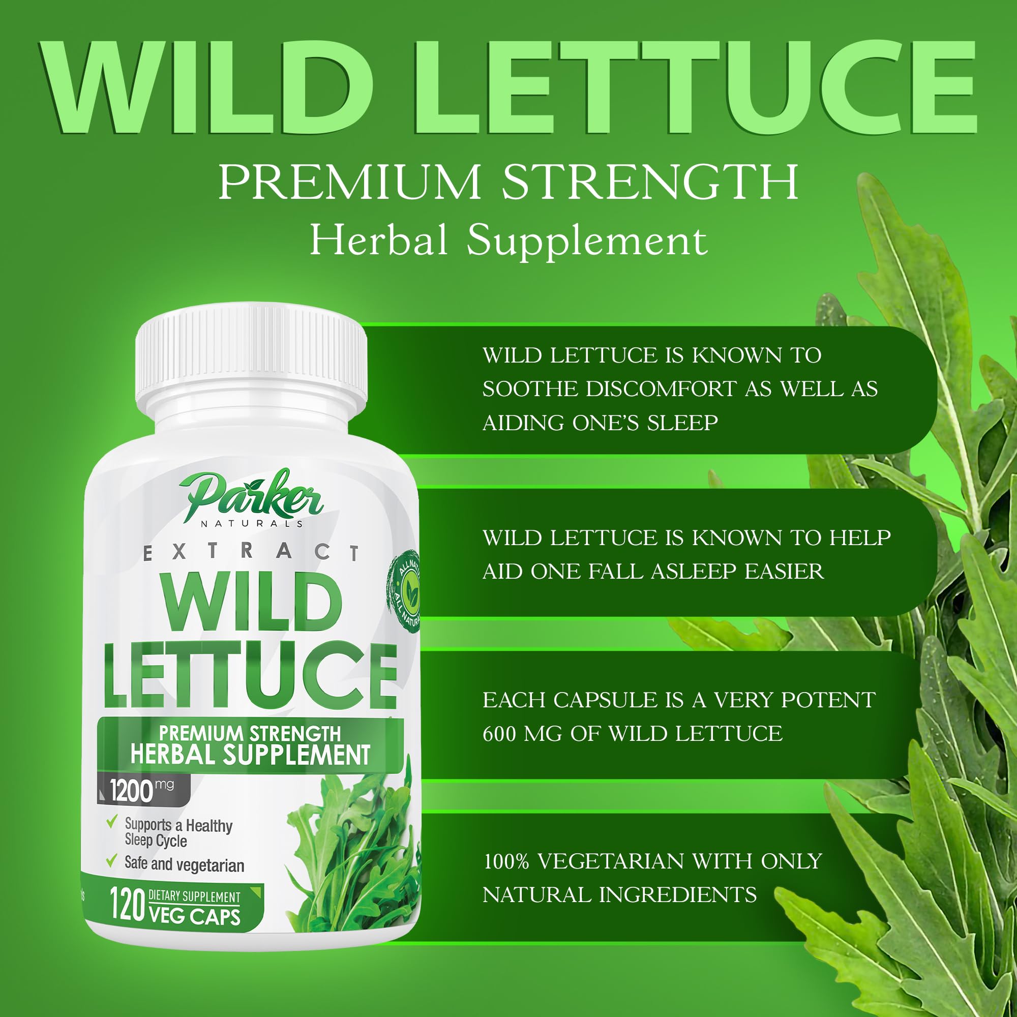 Parker Naturals Wild Lettuce Capsules 1200mg with 120 Count. 4:1 Extract. Most Potent Lactuca Virosa. Non GMO. Made in USA