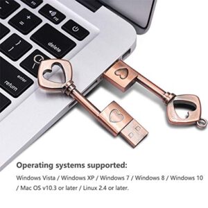 Cute USB Flash Drive Key 64GB, Wiedeus Classic Retro Metal Memory Stick Heart-Shaped Thumb Drives