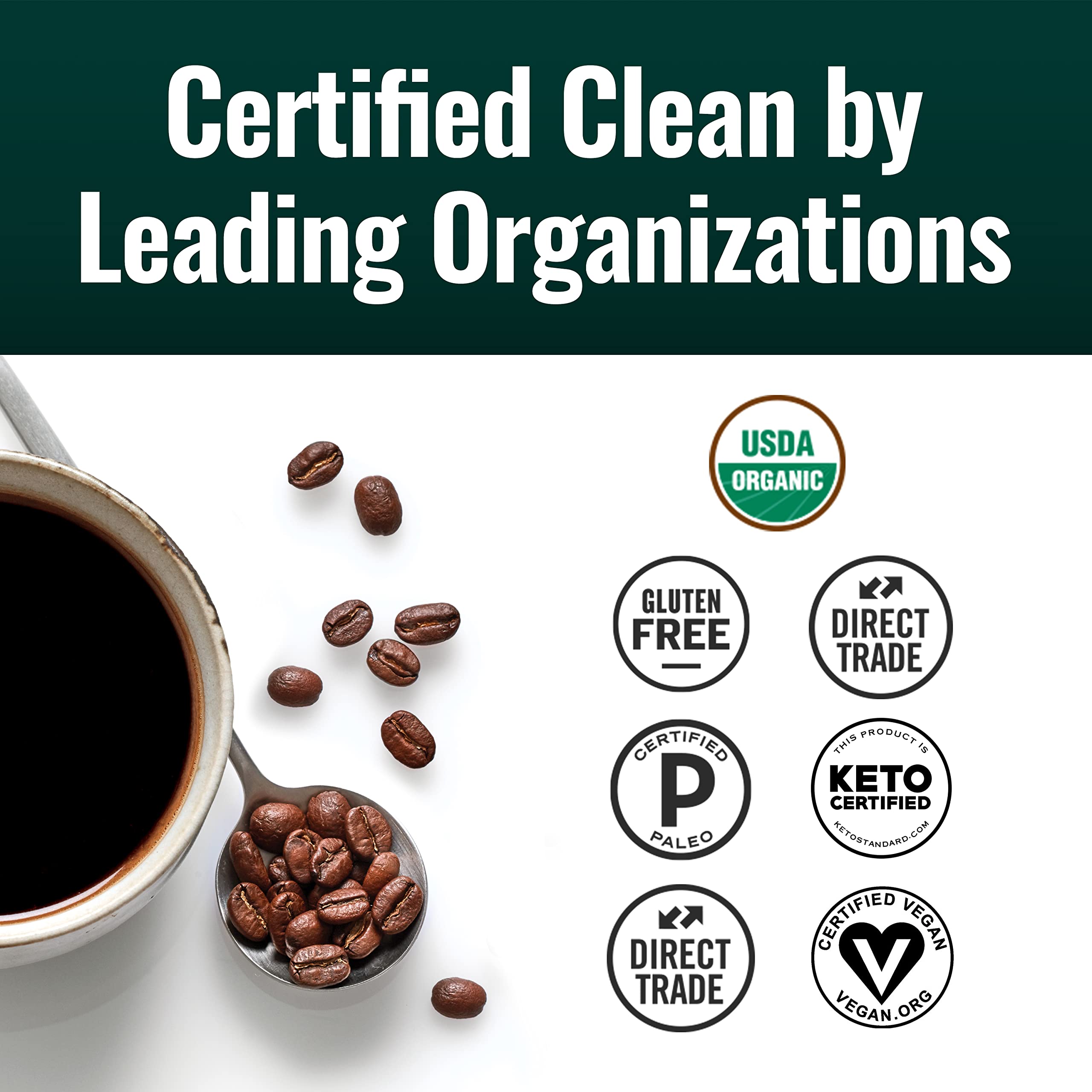 Natural Force Clean Coffee Dark + Medium Roast Bundle - Organic, Mold Free, Whole Bean Coffees Tested for Toxins and Powered by Purity – Great Taste + Aroma - 2x 12 Ounce Bags