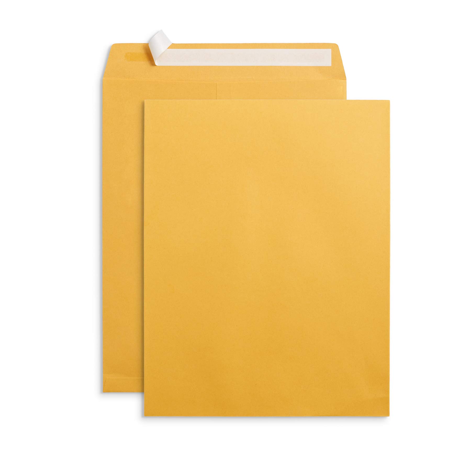 Blue Summit Supplies 100 10” x 13” Catalog Envelopes, Self Seal, For Mailing Catalogs, Magazines and Other Thick Documents, No Window, 28 lb Paper Envelopes, 100 Pack