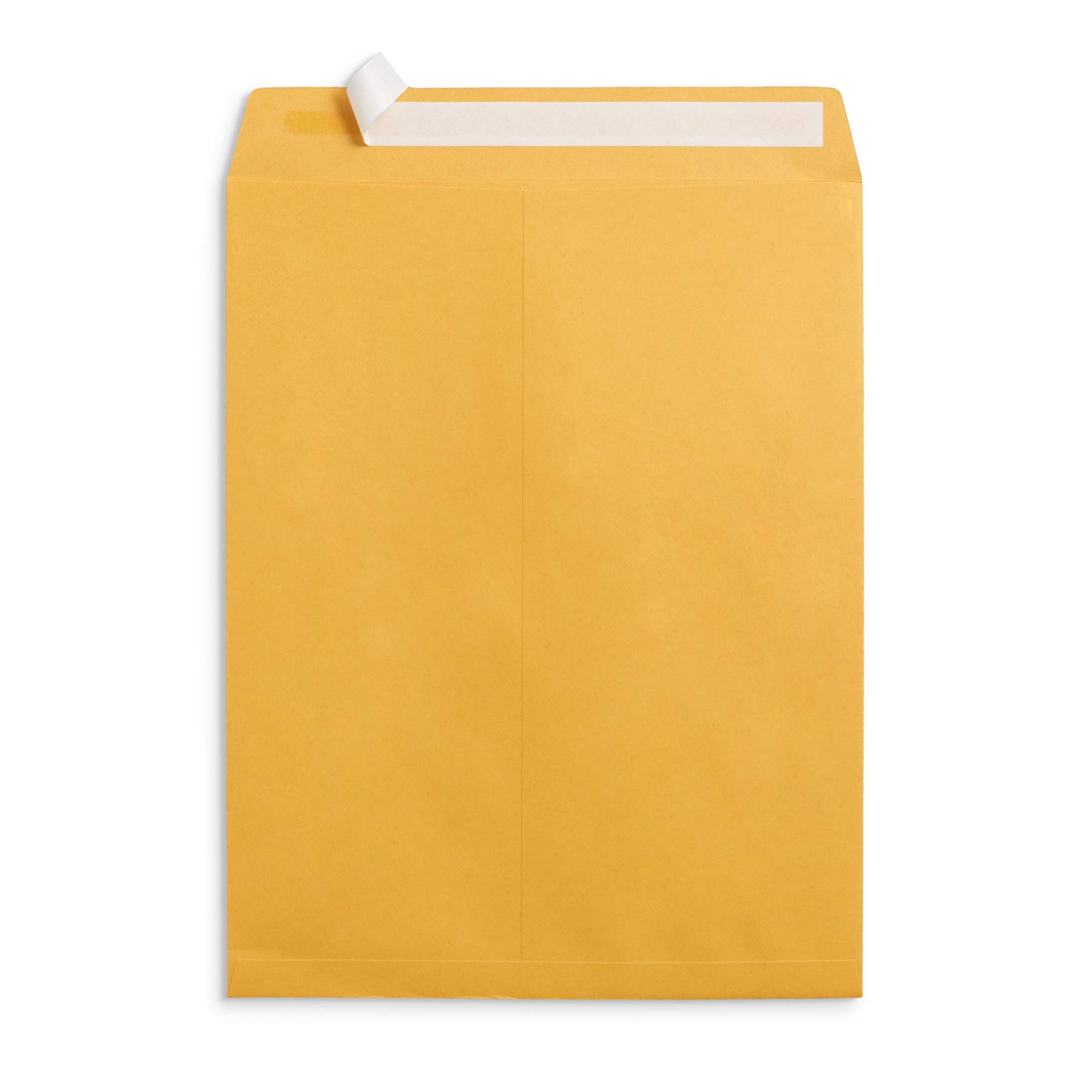 Blue Summit Supplies 100 10” x 13” Catalog Envelopes, Self Seal, For Mailing Catalogs, Magazines and Other Thick Documents, No Window, 28 lb Paper Envelopes, 100 Pack