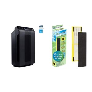 winix 5500-2 air purifier with germguardian hepa replacement filter