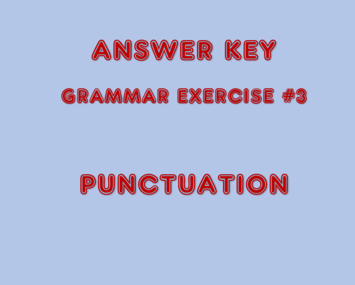 ANSWER KEY TO GRAMMAR LESSON 3