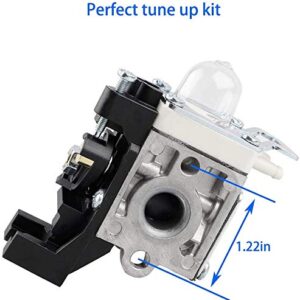 HPENP SRM 225 Carburetor for Echo SRM225 GT225 GT225i PE225 PAS225 SHC225 PPF225 SRM225i GT225L PPF235ES SHC225S Trimmer Premium Weed Eater Edger Carb with Tune Up Kit Primer Bulb Spark Plug fuel line