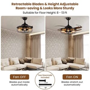 Siljoy Retractable Ceiling Fan with Lights Black Industrial Caged Ceiling Fan with Remote Controller Farmhouse Chandelier Fan with Lights for Living Room Bedroom Patio (48 Inches, 5 Lights)