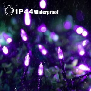 Minetom Halloween String Lights Outdoor, 33Feet 100 LED Waterproof Christmas Lights with 8 Lighting Modes for Halloween Garden Party Christmas Xmas Tree Lights Decor(Purple)