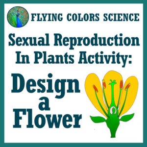 sexual reproduction in plants activity design a flower ngss ms-ls1-4 ms-ls3-2