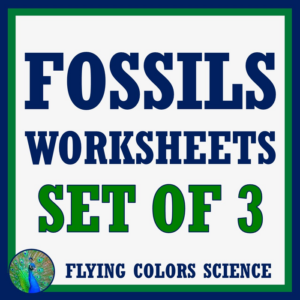 fossils worksheet set of 3 diagrams claims evidence and reasoning reading passages ngss ms-ls-4-1 ms-ls4-2