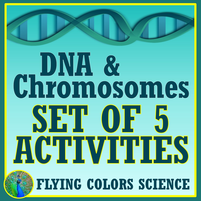 Chromosomes and DNA Set of 5 ACTIVITY for Middle School