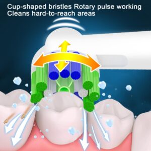 8 Pack 3D Whitening Replacement Brush Heads Compatible with Braun Oral B Electric Toothbrush Pro500/100/1500/3000/Genius7500/7000/9600/8000, Etc.