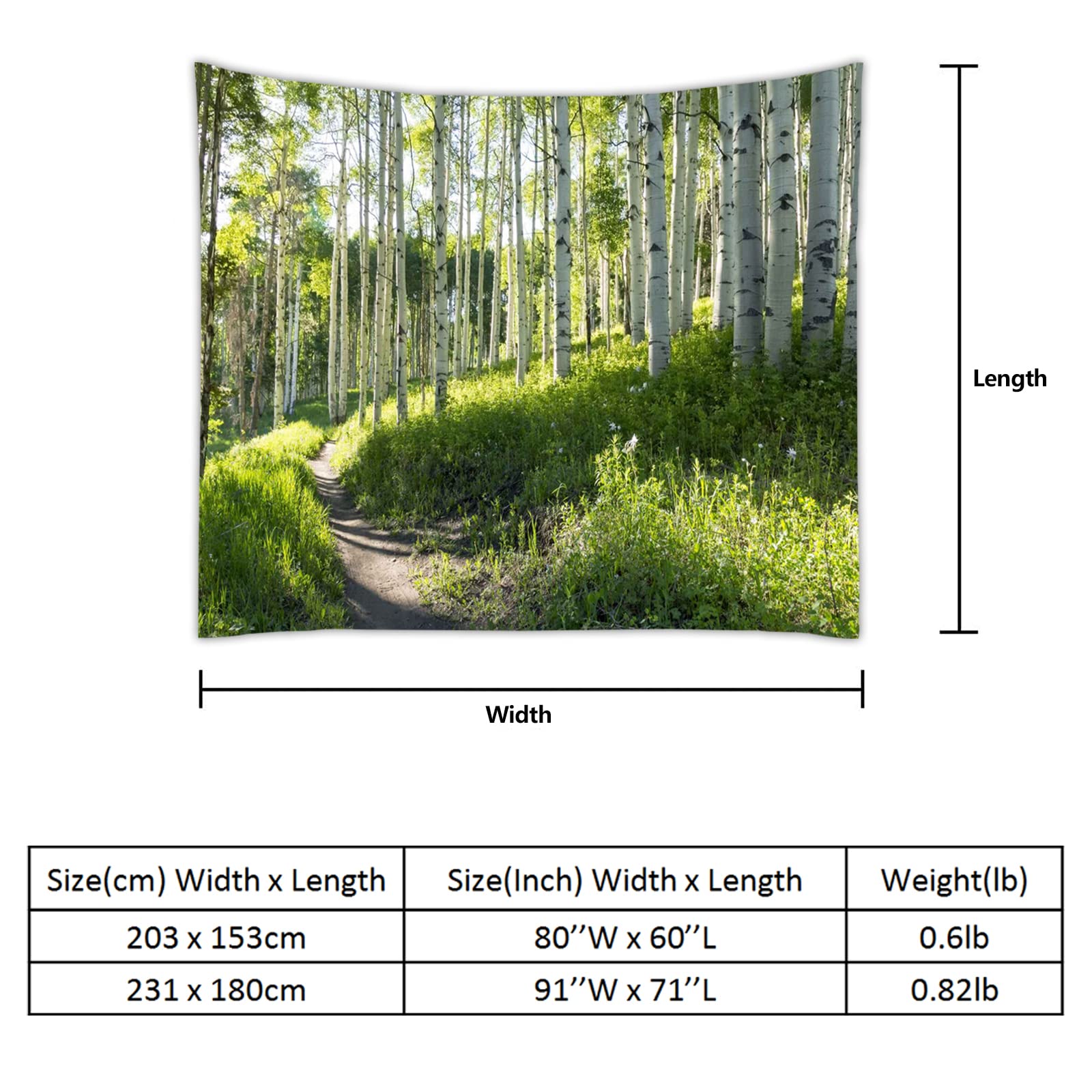 YISURE Forest Wall Tapestry Nature Tree Trail Path Landscape Wall Hanging, Morning Sunshine Through Green Tree Wall Tapestries for Home Office Indoor and Outdoor Decor, 80(W) x60(L) Inch