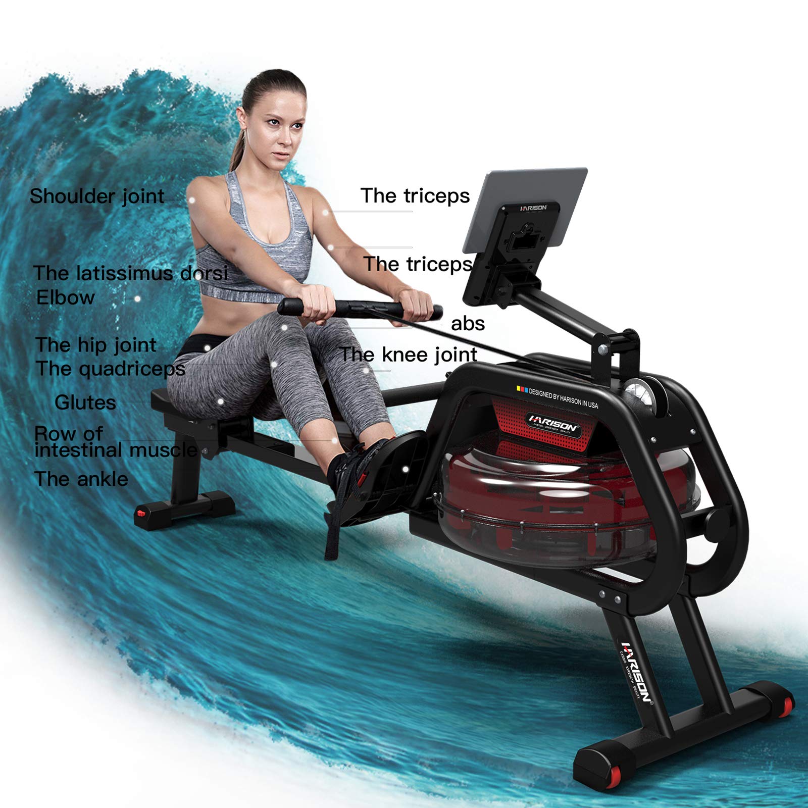 HARISON Water Rowing Machines with Tablet Holder- Water Rower for Home Use