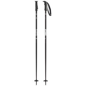 Atomic AMT Unisex Ski Poles