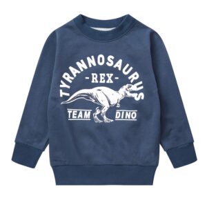 akyzic boy dinosaur sweatshirts toddler long sleeve cotton pullover cartoon t-shirts sport top tee for kids 2-7t dinosaur3-8009-5t