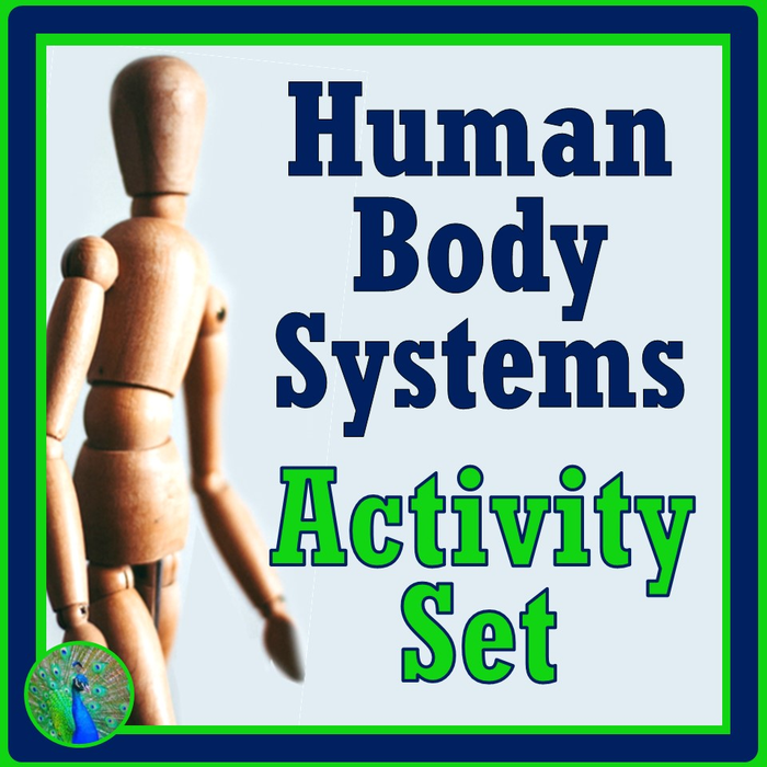 Human Body System Activity Set: 11 Fun and Engaging LOW PREP Activities