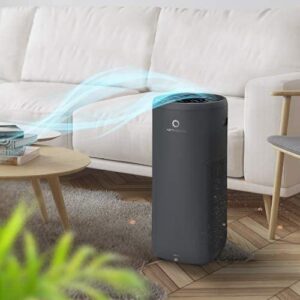 Airthereal Bundle | AGH550 True HEPA Air Purifier and 1-pack Spare Replacement Filter, Glory Days