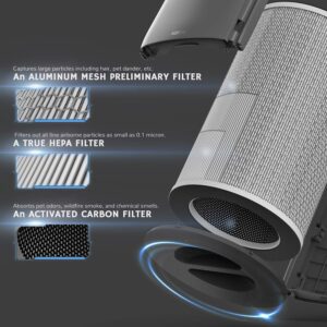 Airthereal Bundle | AGH550 True HEPA Air Purifier and 1-pack Spare Replacement Filter, Glory Days