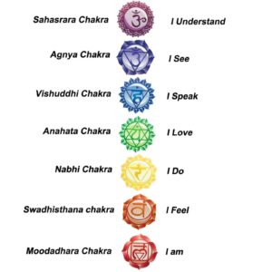 Maydahui Chakra Vinyl Wall Stickers (Set of 7 Pieces) Yoga Meditation Wall Decal Health Aum Symbol Art Mantra Meditation for Home Decoration Yoga Studio Decor Yogi