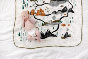 clementine kids reversible quilts (national parks)