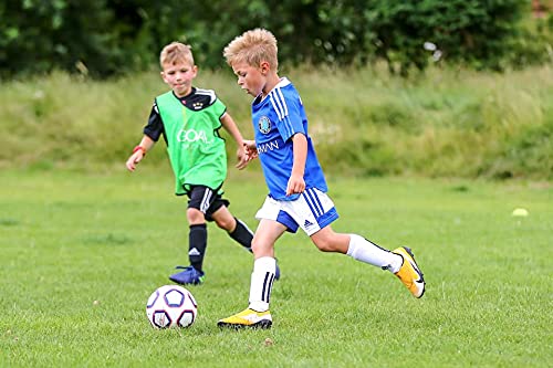 Lionstrike Soccer Ball Lite | Size 4 for Boys, Girls, Kids Ages 7 to 13 Years Old | Ideal Soccer Gear for Training Indoors & Outdoors | Practice Technique & Boost Confidence (White)