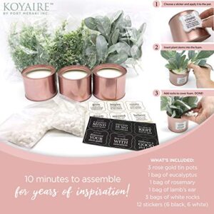 KOYAIRE 3 Motivational Faux Plants for Desk - Rose Gold Decor for Office - Small Home Office Accessories - Desk Decorations - Pink Office Gifts