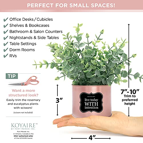 KOYAIRE 3 Motivational Faux Plants for Desk - Rose Gold Decor for Office - Small Home Office Accessories - Desk Decorations - Pink Office Gifts