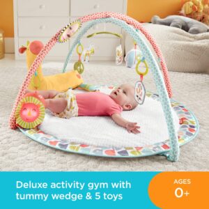 Fisher-Price Go Wild Gym & Giraffe Wedge, infant activity gym with large playmat, musical -toy and tummy time support wedge for babies [Amazon Exclusive]