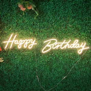 Happy Birthday Neon Sign for Any Themes Birthday Party, 2Pcs Size 23x8+16.5x8, Happy Birthgday Neon Light Signs for All Birthday Celebration, Any Ages, Christmas Gifts Warm White by DIVATLA