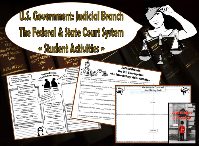 U.S. Government: Judicial Branch ~Comparing the Federal & State Courts~ (Distance Learning)