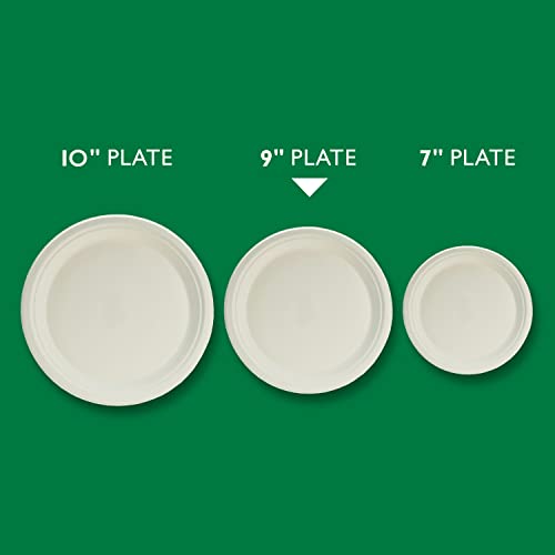 Hefty ECOSAVE Compostable Paper Plates, 8-3/4 Inch, 22 Count