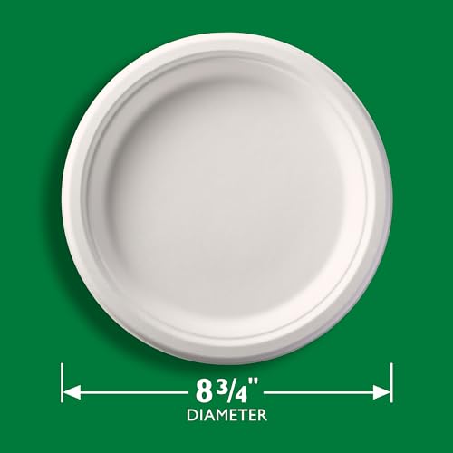 Hefty ECOSAVE Compostable Paper Plates, 8-3/4 Inch, 22 Count