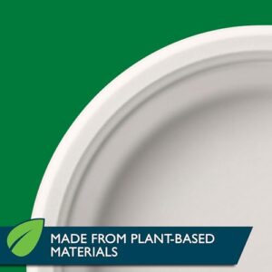 Hefty ECOSAVE Compostable Paper Plates, 8-3/4 Inch, 22 Count