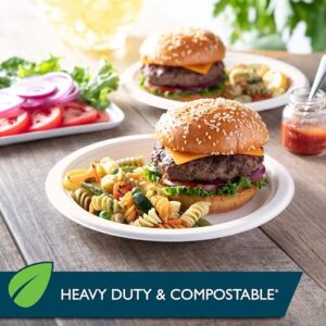 Hefty ECOSAVE Compostable Paper Plates, 8-3/4 Inch, 22 Count