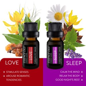 Pure Daily Care Aromatherapy Top 10 Essential Oil Synergy Blend Set – Therapeutic Grade Synergy Oil Blends – Uplift Mind, Body and Spirit – 10 x 10 Ml Blends – No Fillers & No Additives