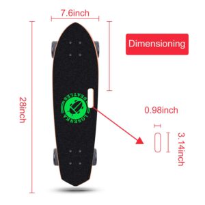 LOSENKA 28 inch Mini Cruiser Skateboard Cruiser | Canadian Maple Deck - Designed for Kids, Teens and Adults (Persistence Pro)