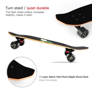 LOSENKA 28 inch Mini Cruiser Skateboard Cruiser | Canadian Maple Deck - Designed for Kids, Teens and Adults (Persistence Pro)