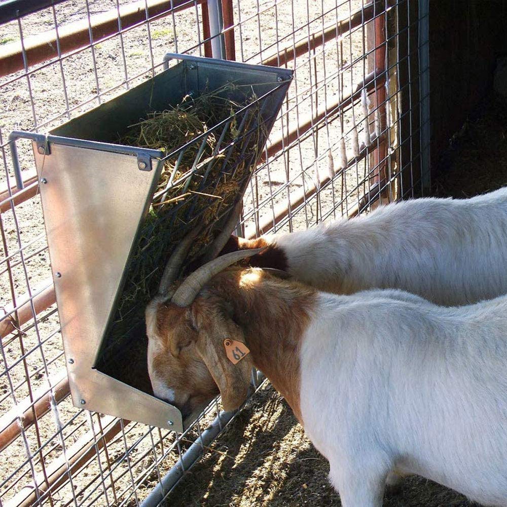 Little Giant Classic Heavy-Duty Galvanized Metal 2-in-1 Goat and Sheep Feeder (2 Pack)