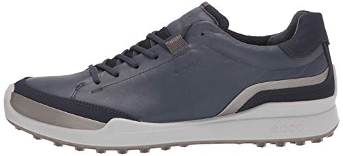 ECCO Men's Biom Hybrid Hydromax Water-Resistant Golf Shoe, Ombre/Buffed Silver/Night Sky, 9-9.5