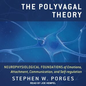 the polyvagal theory: neurophysiological foundations of emotions, attachment, communication, and self-regulation