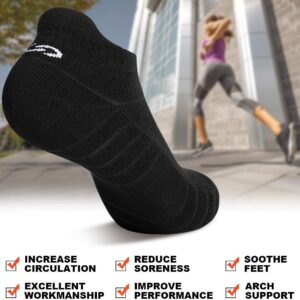 Lapulas Ankle Socks Cushioned No Show Socks Sport Low Cut Socks for Men and Women 6Pairs Black Large