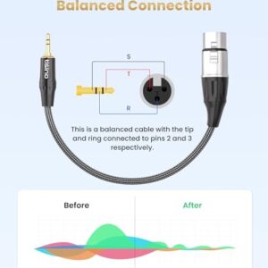 tisino XLR to 3.5mm Balanced Cable Adapter, Gold-Plated XLR Female to 1/8 inch Mini Jack Aux Mono Audio Cord for Shotgun or Condenser Microphones - 1ft