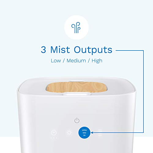 hOmeLabs Cool Mist Ultrasonic Mini Humidifier for Tabletop - 4 Liter Capacity with 40 Hour Run Time - Great for Bedroom, Baby Nursery, Plants and More