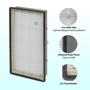 Lhari HAPF300 True HEPA Filter, Compatible with Holmes AER1 HAPF300, HAPF30 and Bionaire Units, Allergen Remover, Pack of 2