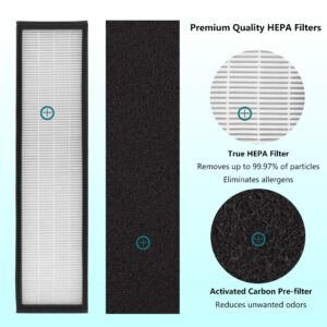 Lhari FLT5000 Filter C True HEPA Replacement Filter, Compatible with GermGuardian Air Purifiers AC5000, AC5250PT, AC5000E, AC5350B, AC5350BCA, AC5350W, BXAP250, IAP-GG-125